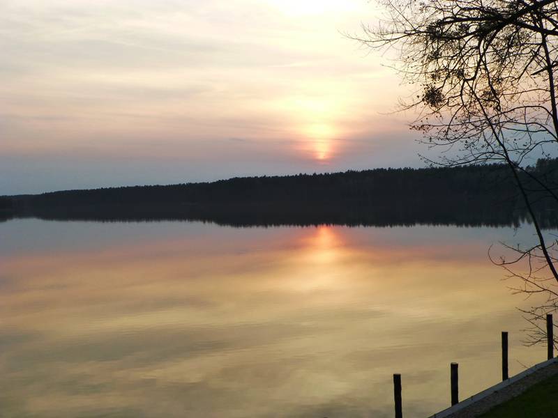 Augustów Forest in the Nutshell - The Green Velo Trail